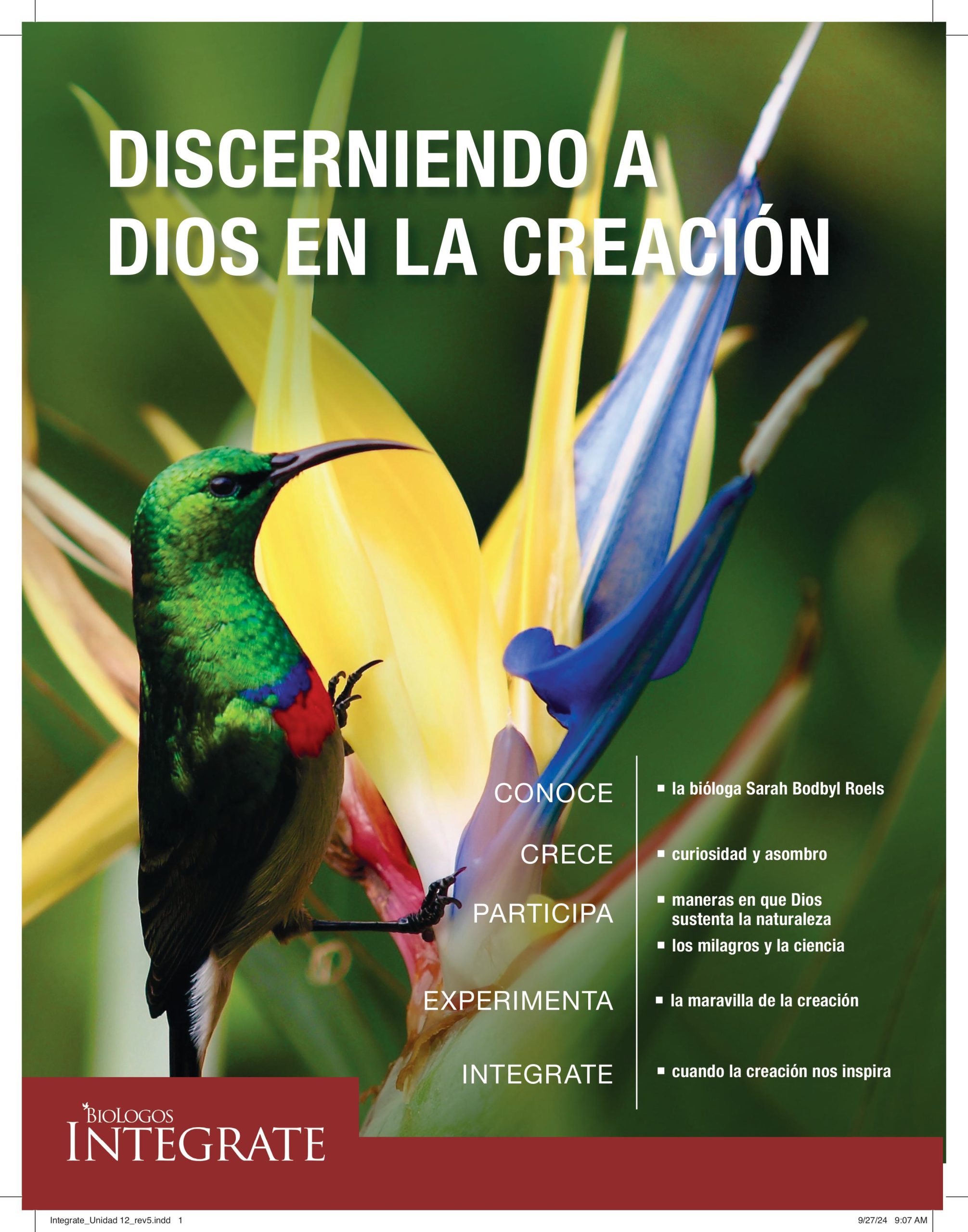Discerniendo a Dios en la creación - Product - BioLogos